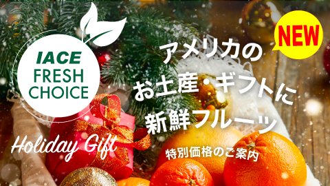 IACE TRAVEL – IACE USA